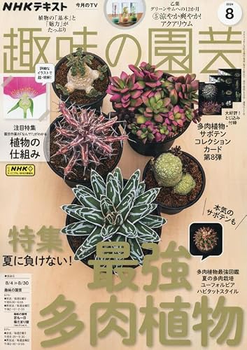 【中古】NHKテキスト趣味の園芸 2024年 08 月号 [雑誌]【メーカー名】【メーカー型番】【ブランド名】NHK出版 園芸・フラワーアレンジメント 【商品説明】NHKテキスト趣味の園芸 2024年 08 月号 [雑誌]※ご購入前にご確認...