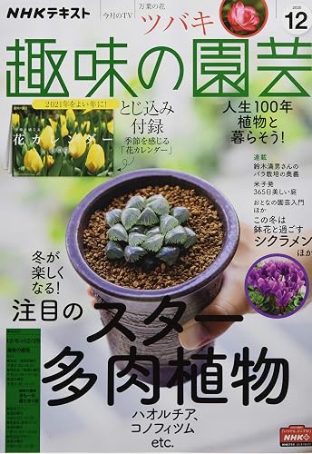 【中古】NHKテキスト趣味の園芸 2020年 12 月号 [雑誌]【メーカー名】【メーカー型番】【ブランド名】NHK出版 園芸・フラワーアレンジメント 【商品説明】NHKテキスト趣味の園芸 2020年 12 月号 [雑誌]※ご購入前にご確認...