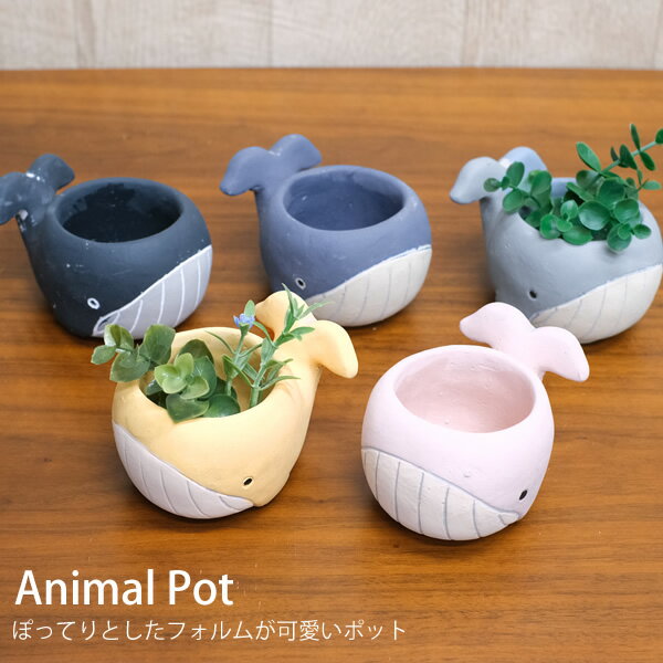 商品説明 ぽってりとした丸みのあるフォルムが可愛いクジラのポット。 クジラの背に育つ植物が、より一層可愛く見え、素敵に飾ることができます。 存在感も増し、インテリアとしてもオシャレなアイテムです。 アンティーク調の使い込まれたような風合いで...