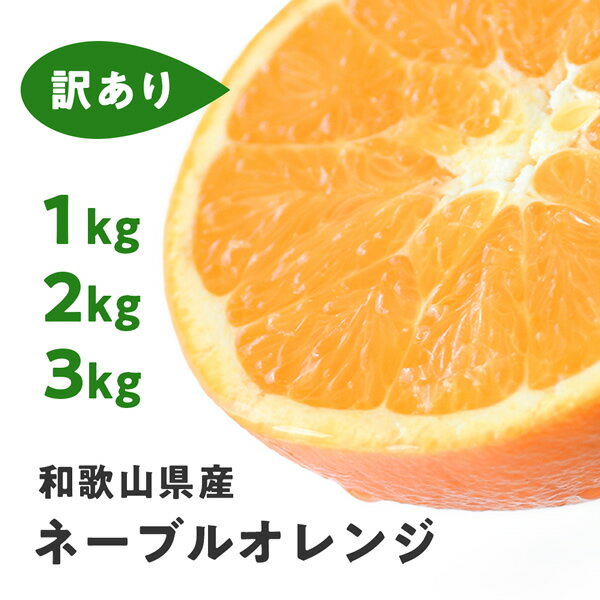 商品説明 みかんの産地 和歌山県からお届けする国産ネーブルオレンジ 濃厚な甘みとさわやかな香りが特徴 和歌山県は温暖な気候と太平洋に面した地 形、豊富な日照時間が柑橘類の栽培に とても適しており、特にみかん(温州みかん) やオレンジ類が全国...
