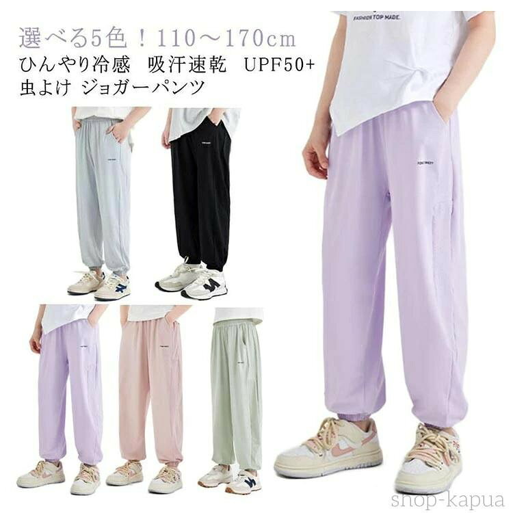 ■ カラーグレー ブラック パープル ピンク グリーン