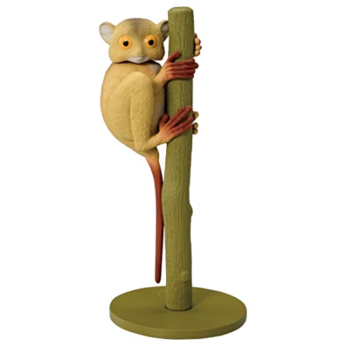 トロピカル無し/-/209379・(c) TOMY・電池は使用しません。・組み立てる必要がありません・ブランド: タカラトミー商品紹介 アニアASシリーズに「メガネザル(ニシメガネザル)」が登場 ・メガネザルは、首、足が動き、付属の木につか...