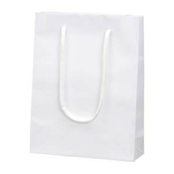 HEIKO(ヘイコー)の一覧はこちら高級感のあるPP貼り。雨にも強い丈夫な作り。●外寸：縦240×横185×マチ65mm●材質：コート紙，持ち手＝ポリエステル【品番】006138301【本体色】シロ【入数】1枚JANCD:490175555...