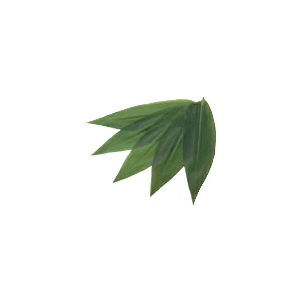 ※天然物につき、サイズが異なる場合がございます。□サイズ：約90×320●不具合ある商品、配送中の破損、商品の瑕疵のみ、商品の返品をお受けしておりますJANCD:4548170187658【銀行振込・コンビニ決済】等前払い決済予定のお客様へ...