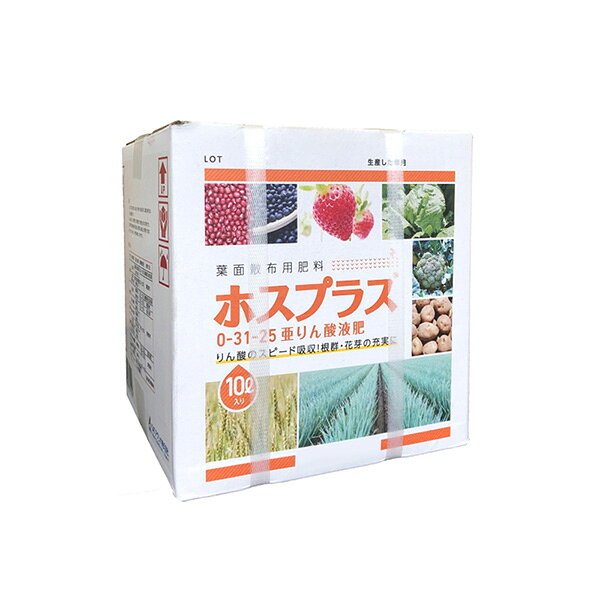OATアグリオの一覧はこちら花芽の充実、着果・結実の促進、果実の品質向上が期待できます。従来のりん酸よりも葉面からの吸収が速く、吸収効率の良いりん酸肥料。りん酸、カリウムが補給でき、果実肥大期や生殖生長期に特に有効。葉面からの吸収が早いため...