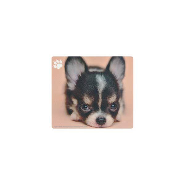 サンワサプライの一覧はこちら■写真品種名:チワワ■サイズ:W150×D170×H0.6mm■材質:再生PET■品種説明:チワワ原産:中北米大陸(アメリカ・メキシコ)見た目以上に活発で好奇心旺盛。人懐っこく甘え上手で、ちょっと臆病な面も。そこ...