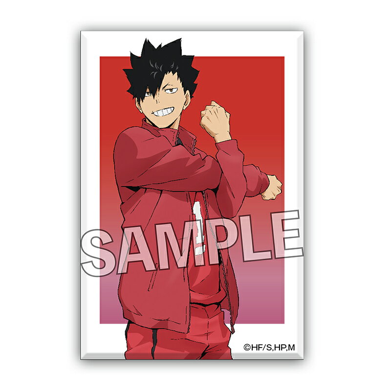 ■アイテム説明「ハイキュー!!」からスタパネが登場です！■サイズ _■素材 _■関連カテゴリー SUNDRY_OTHER■作品名 ハイキュー!!