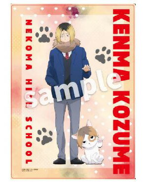 ■アイテム説明アニメ「ハイキュー!!」より新商品案内です。描き下ろしビジュアル「playingマスコット」を使用した、クリアポスターが登場!紙のポスターとは一味違う、透明感のあるクリア素材のポスターです。サイズもA3とビッグサイズ! 部屋に...