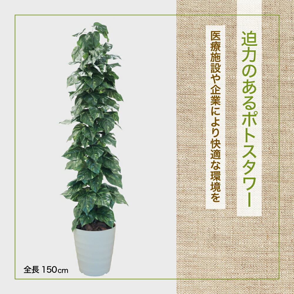 関連商品【法人様限定】ソングオブジャマイカ 高さ150cm (ドラセナ フェイ...【法人様限定】菩提樹 150cm(ベンガレンシス 人工 観葉植物 大型...【法人様限定】ウンベラータ1本立て150cm (造花 インテリア おし...61...