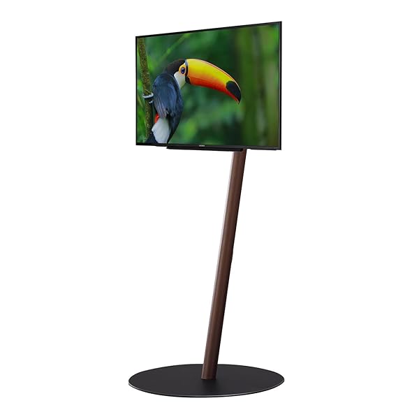 EQUALS イコールズ テレビ台 自立型 テレビスタンド WALL A2 FLAT BASE ハイタイプ 24型〜55型対応 ウォールナットブランドEQUALS(イコールズ)色ウォールナットモデルWLTVL5238F商品説明※詳細は会社概...