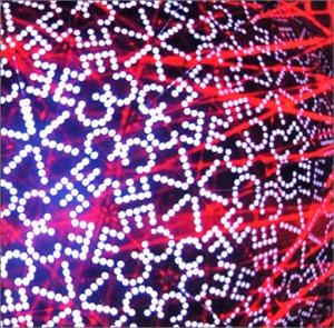 【中古】REFLECTION-The Sound Of ICE-【メーカー名】EMIミュージック・ジャパン【メーカー型番】【ブランド名】【商品説明】中古商品のご購入時はご購入前に必ず確認をお願いいたします。商品画像はイメージです。中古という...