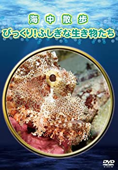 【中古】海中散歩~びっくり! ふしぎな生き物たち~ [DVD]【メーカー名】ビデオメーカー【メーカー型番】【ブランド名】スーパー ビジョン商品画像はイメージです。中古という特性上、使用に影響ない程度の使用感・経年劣化（傷、汚れなど）がある場...