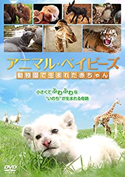 【中古】アニマル・ベイビーズ 動物園で生まれた赤ちゃん [DVD]【メーカー名】トランスワールドアソシエイツ【メーカー型番】【ブランド名】商品画像はイメージです。中古という特性上、使用に影響ない程度の使用感・経年劣化（傷、汚れなど）がある場...