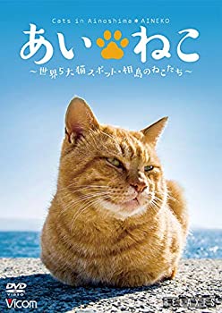 【中古】あいねこ 世界5大猫スポット・相島のねこたち [DVD]【メーカー名】ビコム株式会社【メーカー型番】【ブランド名】商品画像はイメージです。中古という特性上、使用に影響ない程度の使用感・経年劣化（傷、汚れなど）がある場合がございます。...