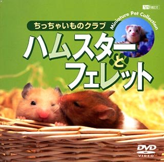 【中古】シンフォレストDVD ハムスターとフェレット/ちっちゃいものクラブ【メーカー名】竹緒【メーカー型番】【ブランド名】竹緒【商品説明】中古商品のご購入時はご購入前に必ず確認をお願いいたします。商品画像はイメージです。中古という特性上、使...