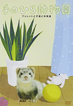 【中古】手のひら動物園 フェレットと子猫と仲間達 [DVD]【メーカー名】ビクターエンタテインメント【メーカー型番】【ブランド名】ビクターエンタテインメント商品画像はイメージです。中古という特性上、使用に影響ない程度の使用感・経年劣化（傷、...