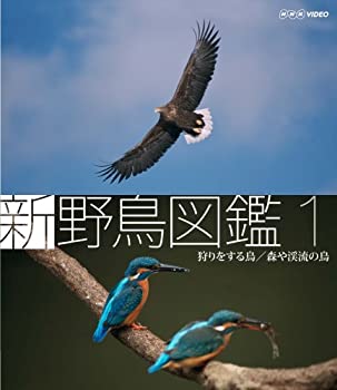 【中古】新 野鳥図鑑 第1集 狩をする鳥/森や渓流の鳥 [Blu-ray]【メーカー名】NHKエンタープライズ【メーカー型番】【ブランド名】【商品説明】【中古】新 野鳥図鑑 第1集 狩をする鳥/森や渓流の鳥 [Blu-ray]・中古品（ユー...
