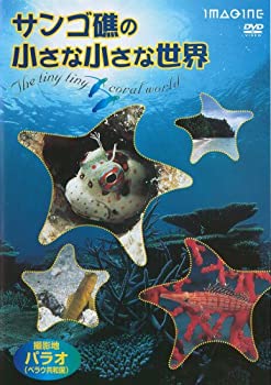 【中古】サンゴ礁の小さな小さな世界 [DVD]【メーカー名】株式会社いまじん【メーカー型番】【ブランド名】いまじん商品画像はイメージです。中古という特性上、使用に影響ない程度の使用感・経年劣化（傷、汚れなど）がある場合がございます。また、中...