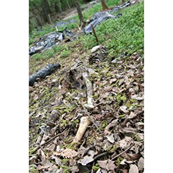 【中古】Boneyard: Biowaste [DVD] [Import]【メーカー名】A&E Home Video【メーカー型番】【ブランド名】【商品説明】【中古】Boneyard: Biowaste [DVD] [Import]・中古品...