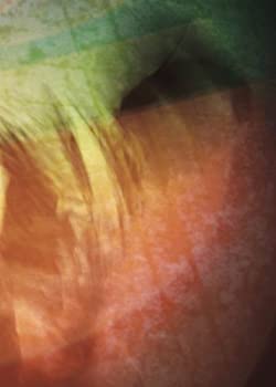 【中古】Go Quiet [DVD] [Import]【メーカー名】Xl Recordings【メーカー型番】【ブランド名】XL Recordings商品画像はイメージです。中古という特性上、使用に影響ない程度の使用感・経年劣化（傷、汚れな...