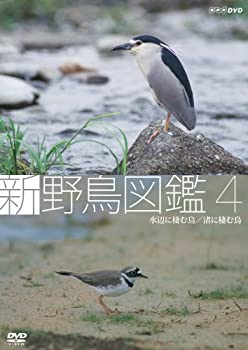 【中古】新 野鳥図鑑 第4集 水辺に棲む鳥/渚に棲む鳥 [DVD]【メーカー名】NHKエンタープライズ【メーカー型番】【ブランド名】商品画像はイメージです。中古という特性上、使用に影響ない程度の使用感・経年劣化（傷、汚れなど）がある場合がご...