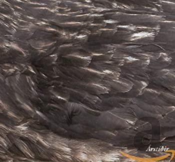 【中古】Arstidir【メーカー名】Beste Unterhaltung【メーカー型番】【ブランド名】Beste Unterhalt【商品説明】【中古】Arstidir・中古品（ユーズド品）について商品画像はイメージです。中古という特性上...