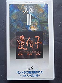 【中古】NHKスペシャル 驚異の小宇宙・人体3 遺伝子 第6巻 [VHS]【メーカー名】バンダイビジュアル【メーカー型番】【ブランド名】【商品説明】中古商品のご購入時はご購入前に必ず確認をお願いいたします。商品画像はイメージです。中古という...