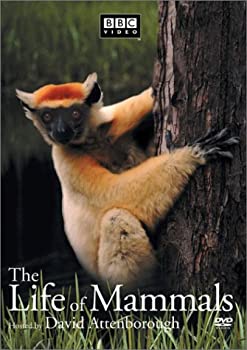 【中古】Life of Mammals 3 [DVD] [Import]【メーカー名】BBC Warner【メーカー型番】【ブランド名】BBC Warner【商品説明】中古商品のご購入時はご購入前に必ず確認をお願いいたします。商品画像はイメ...
