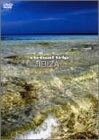 【中古】virtual trip IBIZA (トールパッケージ化) [DVD]【メーカー名】ポニーキャニオン【メーカー型番】【ブランド名】ポニーキャニオン【商品説明】中古商品のご購入時はご購入前に必ず確認をお願いいたします。商品画像はイメ...