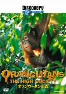 【中古】オランウータンの森 [DVD]【メーカー名】KADOKAWA【メーカー型番】【ブランド名】【商品説明】中古商品のご購入時はご購入前に必ず確認をお願いいたします。商品画像はイメージです。中古という特性上、使用に影響ない程度の使用感・経...