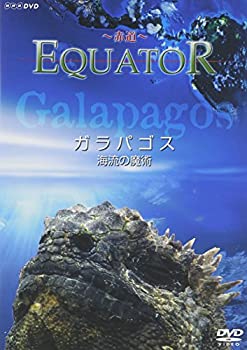 【中古】Equator -赤道- ガラパゴス 海流の魔術 [DVD]【メーカー名】NHKエンタープライズ【メーカー型番】【ブランド名】商品画像はイメージです。中古という特性上、使用に影響ない程度の使用感・経年劣化（傷、汚れなど）がある場合が...