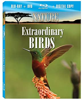 【中古】Nature: Extraordinary Birds [Blu-ray] [Import]【メーカー名】Questar【メーカー型番】【ブランド名】Questar商品画像はイメージです。中古という特性上、使用に影響ない程度の使用感...