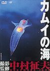 ご来店ありがとうございます。昭和・平成のCD、DVD、家電、音響機器など希少な商品も多数そろえています。レコード、楽器の取り扱いはございません。掲載していない商品もお探しいたします。映像商品にはタイトル最後に[DVD]、[Blu-ray]と...