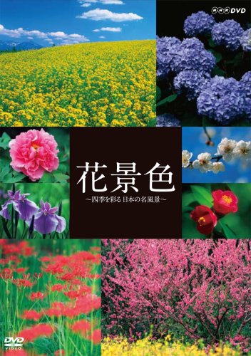 ご来店ありがとうございます。昭和・平成のCD、DVD、家電、音響機器など希少な商品も多数そろえています。レコード、楽器の取り扱いはございません。掲載していない商品もお探しいたします。映像商品にはタイトル最後に[DVD]、[Blu-ray]と...