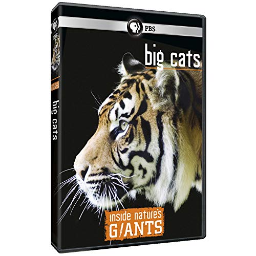 ご来店ありがとうございます。昭和・平成のCD、DVD、家電、音響機器など希少な商品も多数そろえています。レコード、楽器の取り扱いはございません。掲載していない商品もお探しいたします。映像商品にはタイトル最後に[DVD]、[Blu-ray]と...