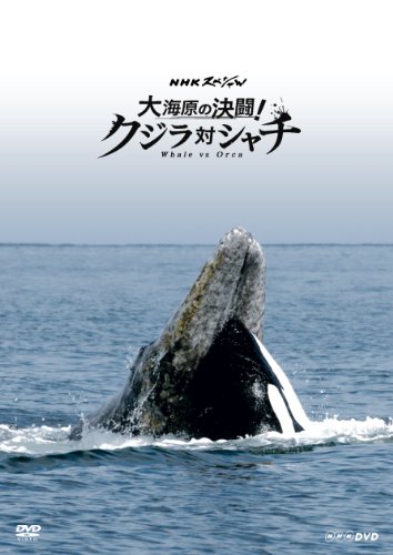 ご来店ありがとうございます。昭和・平成のCD、DVD、家電、音響機器など希少な商品も多数そろえています。レコード、楽器の取り扱いはございません。掲載していない商品もお探しいたします。映像商品にはタイトル最後に[DVD]、[Blu-ray]と...