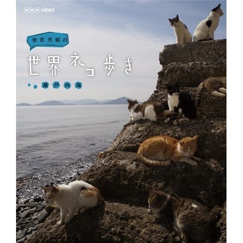 ご来店ありがとうございます。昭和・平成のCD、DVD、家電、音響機器など希少な商品も多数そろえています。レコード、楽器の取り扱いはございません。掲載していない商品もお探しいたします。映像商品にはタイトル最後に[DVD]、[Blu-ray]と...