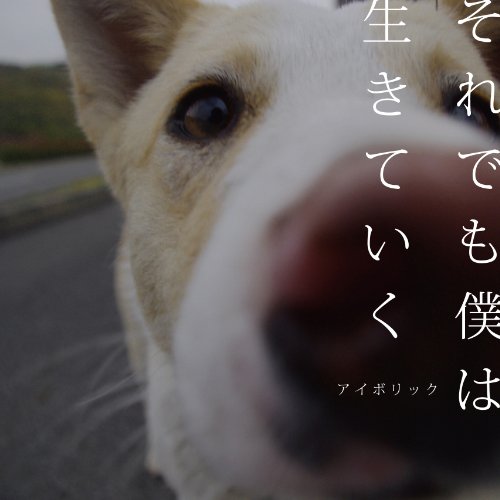 ご来店ありがとうございます。昭和・平成のCD、DVD、家電、音響機器など希少な商品も多数そろえています。レコード、楽器の取り扱いはございません。掲載していない商品もお探しいたします。映像商品にはタイトル最後に[DVD]、[Blu-ray]と...