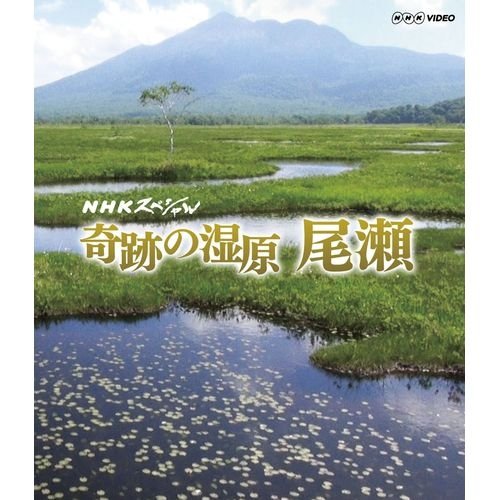 ご来店ありがとうございます。昭和・平成のCD、DVD、家電、音響機器など希少な商品も多数そろえています。レコード、楽器の取り扱いはございません。掲載していない商品もお探しいたします。映像商品にはタイトル最後に[DVD]、[Blu-ray]と...