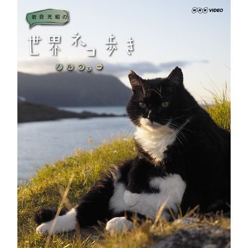 ご来店ありがとうございます。昭和・平成のCD、DVD、家電、音響機器など希少な商品も多数そろえています。レコード、楽器の取り扱いはございません。掲載していない商品もお探しいたします。映像商品にはタイトル最後に[DVD]、[Blu-ray]と...