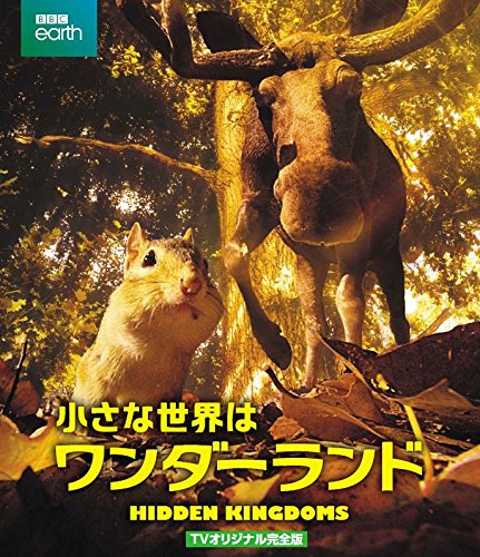 ご来店ありがとうございます。昭和・平成のCD、DVD、家電、音響機器など希少な商品も多数そろえています。レコード、楽器の取り扱いはございません。掲載していない商品もお探しいたします。映像商品にはタイトル最後に[DVD]、[Blu-ray]と...