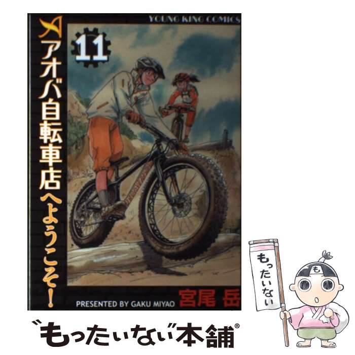 著者：宮尾 岳出版社：少年画報社サイズ：コミックISBN-10：4785955376ISBN-13：9784785955373■こちらの商品もオススメです ● アオバ自転車店へようこそ！　　12巻 / 宮尾岳 / 少年画報社 [コミック] ...