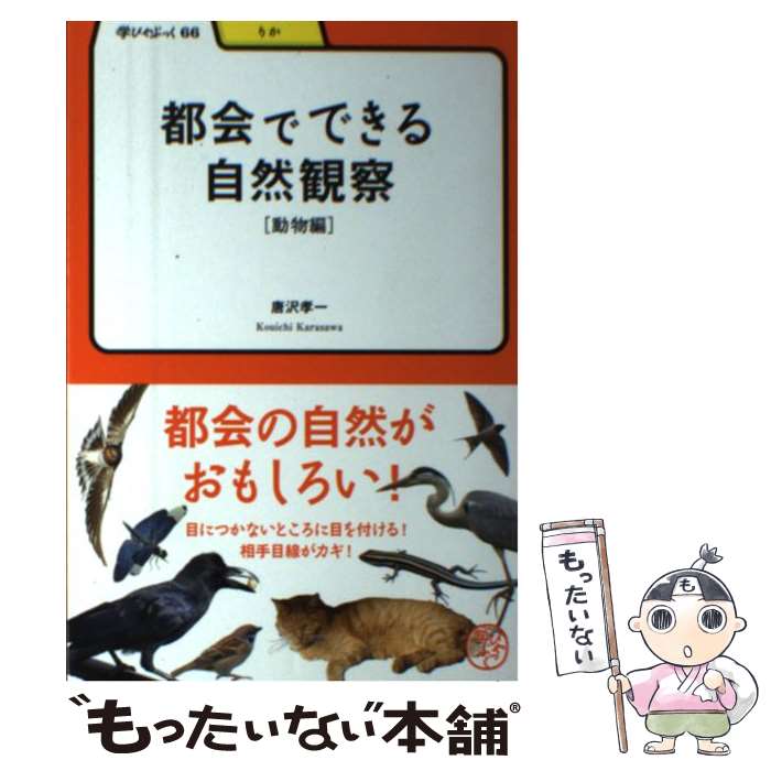 著者：唐沢 孝一出版社：明治書院サイズ：単行本ISBN-10：4625684765ISBN-13：9784625684760■通常24時間以内に出荷可能です。※繁忙期やセール等、ご注文数が多い日につきましては　発送まで48時間かかる場合があ...
