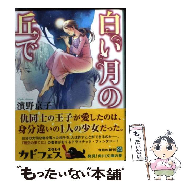著者：濱野 京子出版社：KADOKAWA/角川書店サイズ：文庫ISBN-10：4041018080ISBN-13：9784041018088■こちらの商品もオススメです ● 紅に輝く河 / 濱野 京子 / KADOKAWA/角川書店 [文庫...