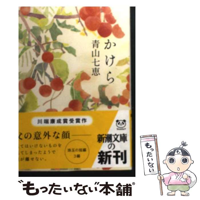 著者：青山 七恵出版社：新潮社サイズ：文庫ISBN-10：4101388415ISBN-13：9784101388410■こちらの商品もオススメです ● 文鳥・夢十夜 / 夏目漱石 / 新潮社 [文庫] ● ひとにぎりの未来 / 星新一 /...