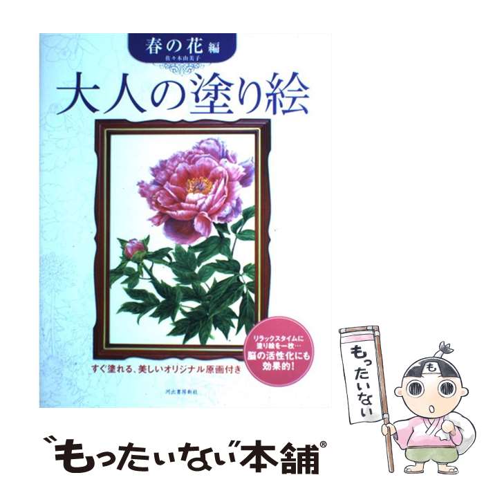 著者：佐々木 由美子出版社：河出書房新社サイズ：大型本ISBN-10：430926879XISBN-13：9784309268798■こちらの商品もオススメです ● イニシエーション・ラブ / 乾 くるみ / 文藝春秋 [文庫] ● 真夜中...