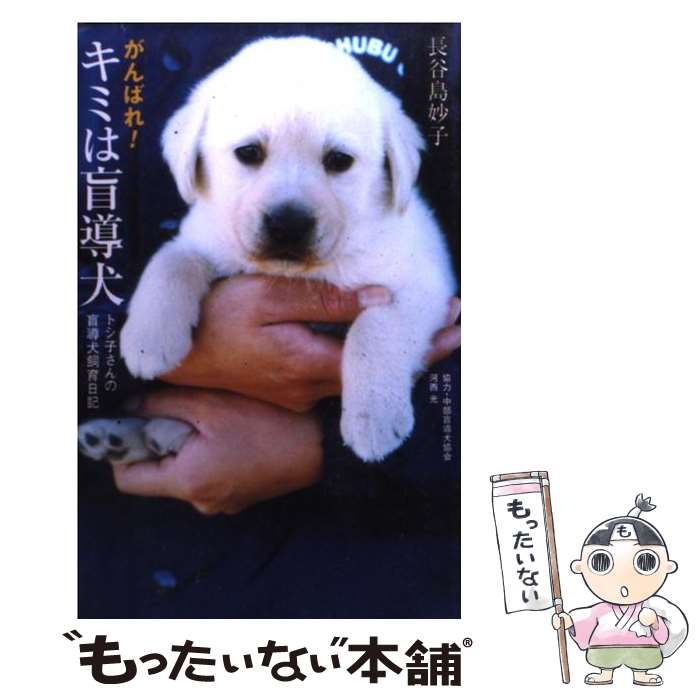 著者：長谷島 妙子出版社：ポプラ社サイズ：単行本ISBN-10：4591080714ISBN-13：9784591080719■こちらの商品もオススメです ● 盲導犬クイールの一生 / 石黒 謙吾 / 文藝春秋 [単行本] ● さよなら、盲...
