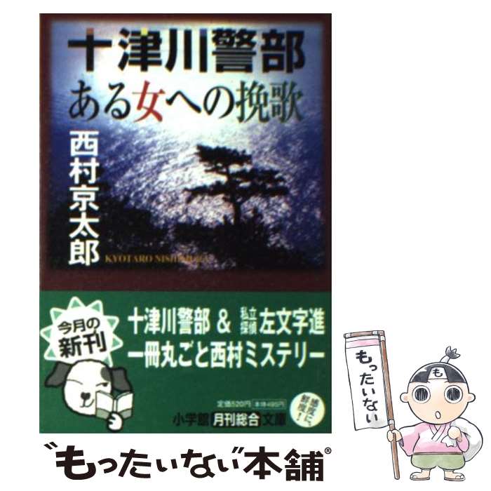 著者：西村 京太郎出版社：小学館サイズ：文庫ISBN-10：4094057412ISBN-13：9784094057416■こちらの商品もオススメです ● インシテミル / 米澤 穂信 / 文藝春秋 [文庫] ● 父からの手紙 / 小杉健治...