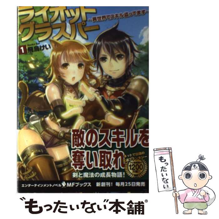著者：飛鳥 けい, どっこい出版社：KADOKAWA/メディアファクトリーサイズ：単行本ISBN-10：4840152748ISBN-13：9784840152747■こちらの商品もオススメです ● やる気なし英雄譚　1 / 津田 彷徨, ...