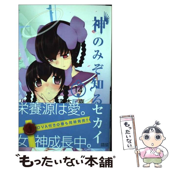 著者：若木 民喜出版社：小学館サイズ：コミックISBN-10：409123237XISBN-13：9784091232373■こちらの商品もオススメです ● 神のみぞ知るセカイ（7） / 若木 民喜 / 小学館 [コミック] ● 神のみぞ知...
